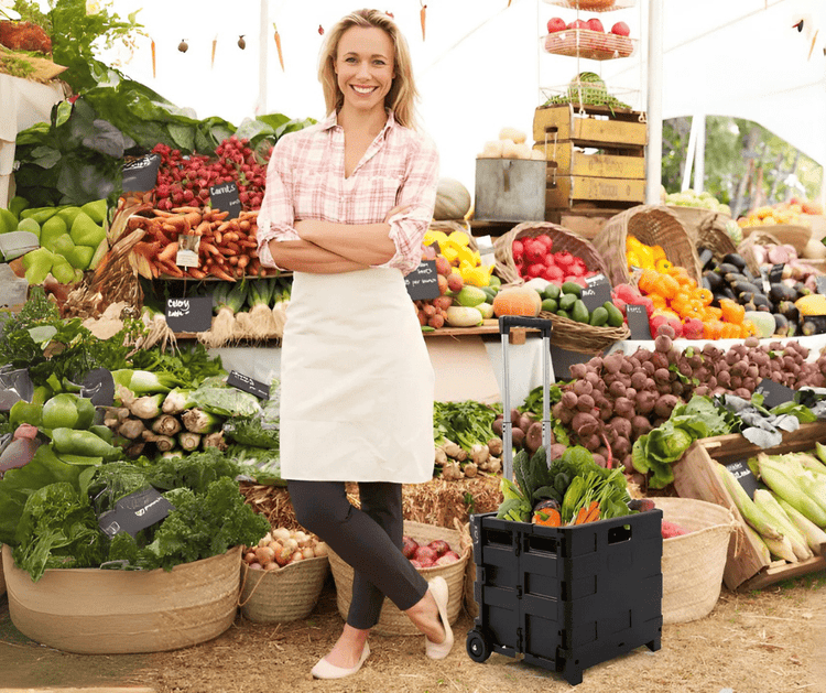 From Groceries to Gardening: The Best Foldable Carts in Australia ...