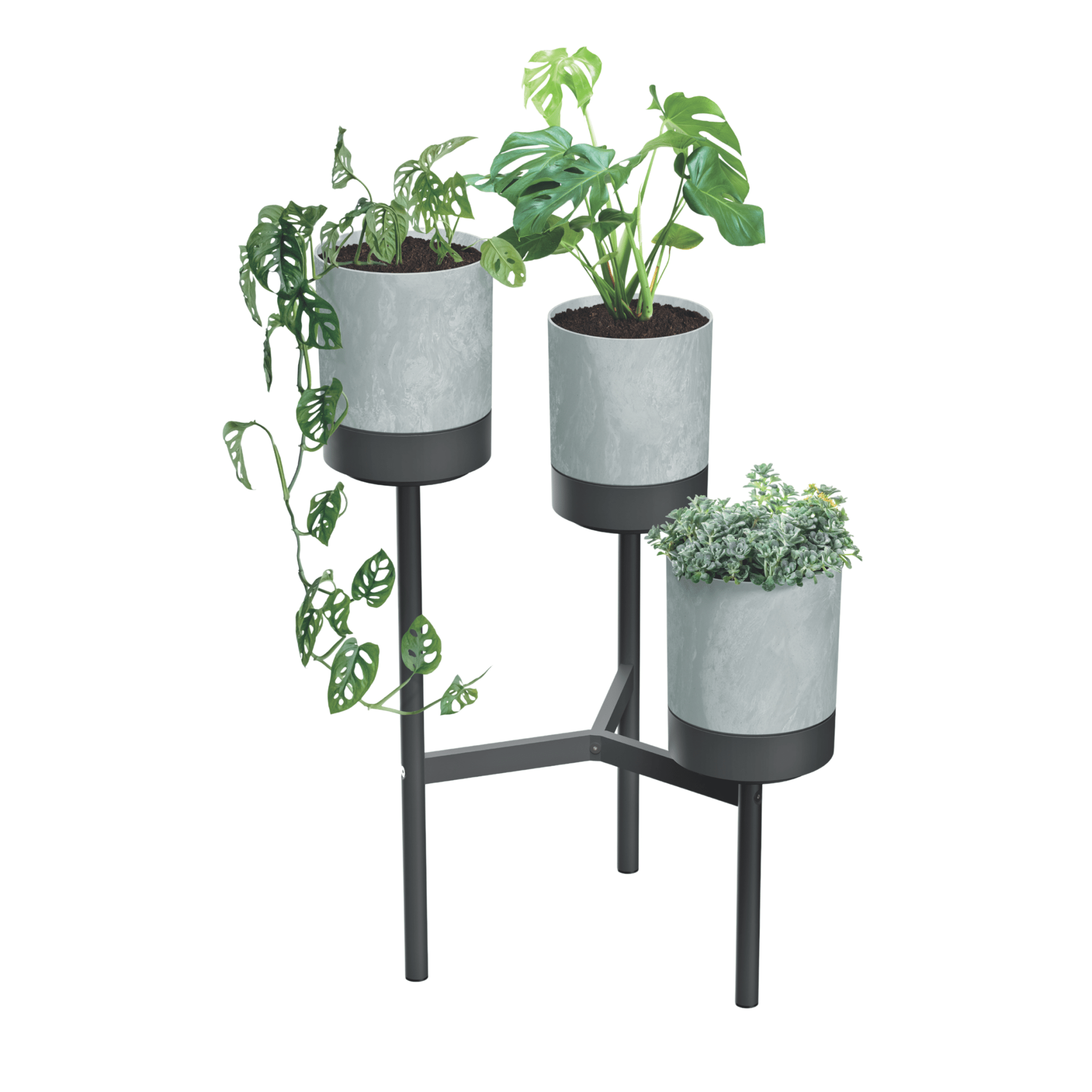 BLOOMIE Plant Stand with Pots – mazeproducts